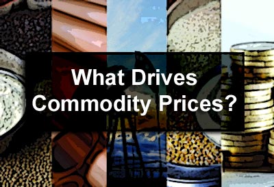 What Drives Commodity Prices?