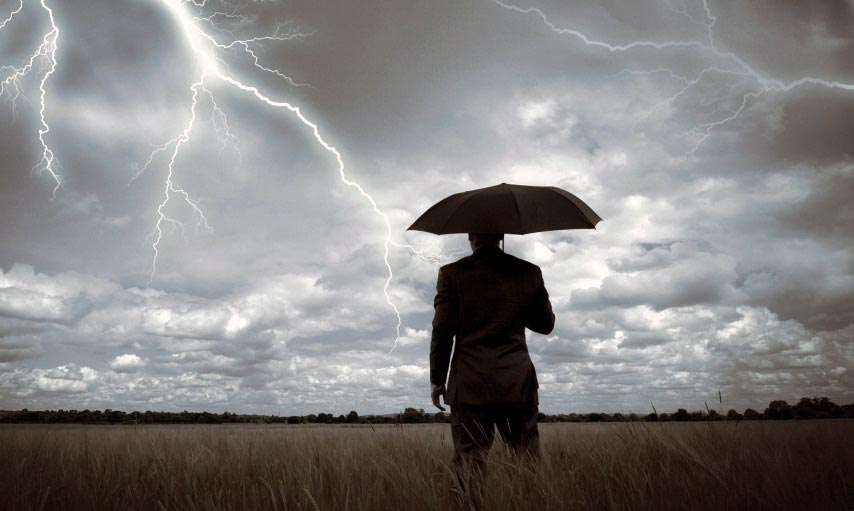 Comparing Various Shelters from the Stock Market Storm